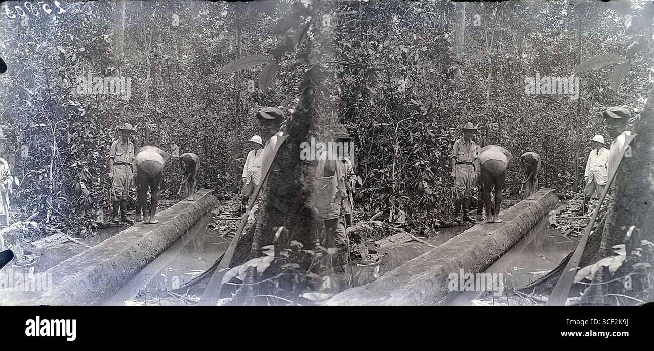 A stereoscopic photograph from 1920-1929 shows the process of turning ...