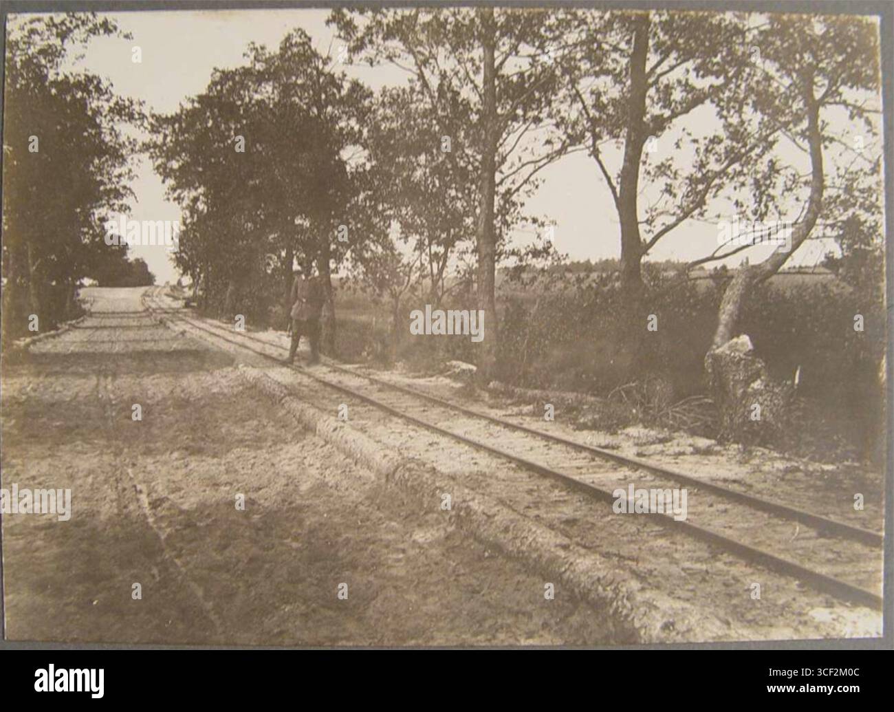 This photograph from around 1916 shows a field railway in Brest-Litowsk ...