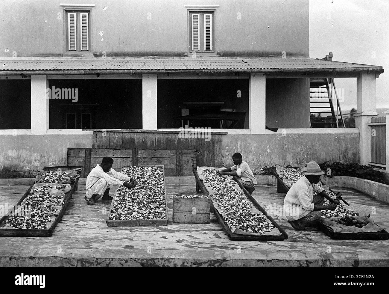 Traditional process Black and White Stock Photos & Images - Alamy