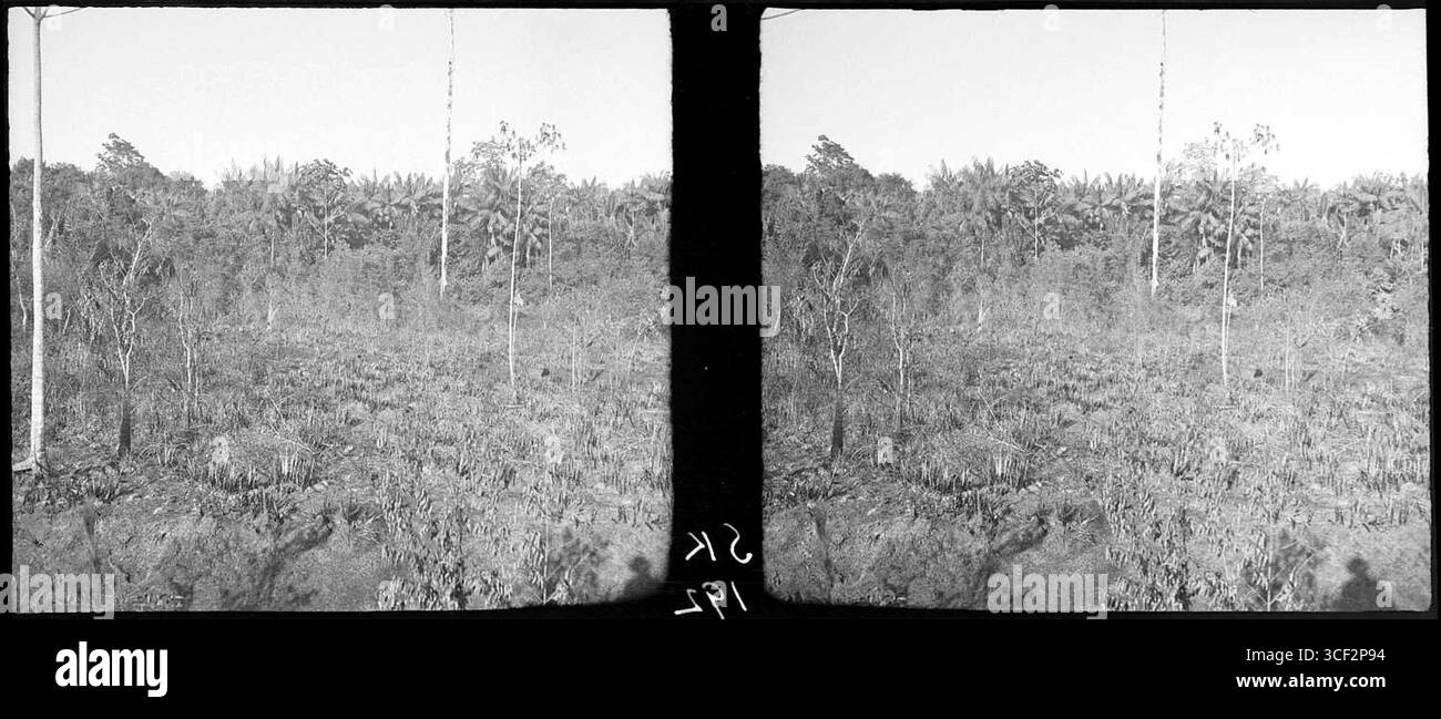 13 6 x 8 8 cm Black and White Stock Photos & Images - Alamy