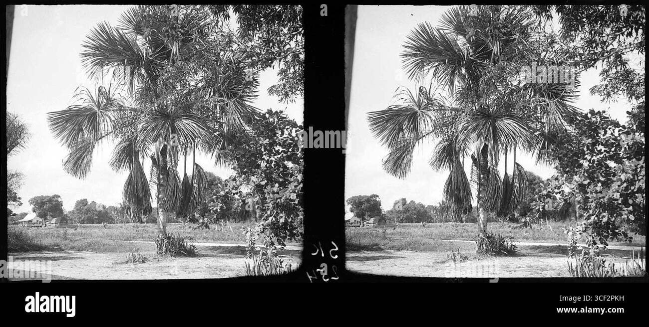 8 3 x 5 5 x 3 cm Black and White Stock Photos & Images - Alamy