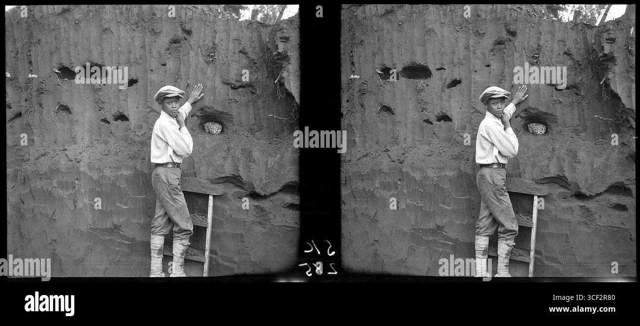 This 1940 stereoscopic photograph shows a boy on a ladder at the ...