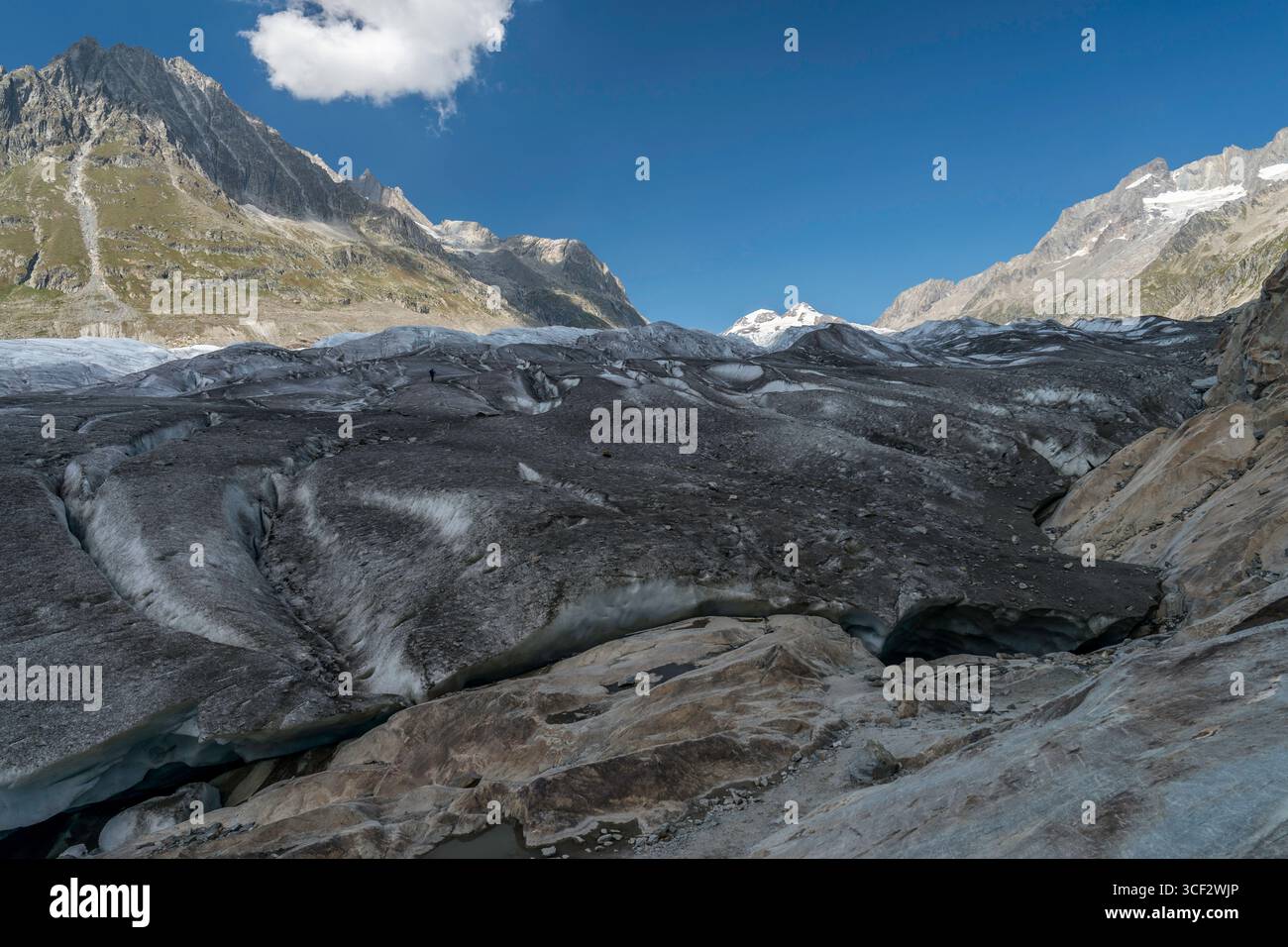 Großer Aletschgletscher, Wallis, Switzerland Stock Photo - Alamy