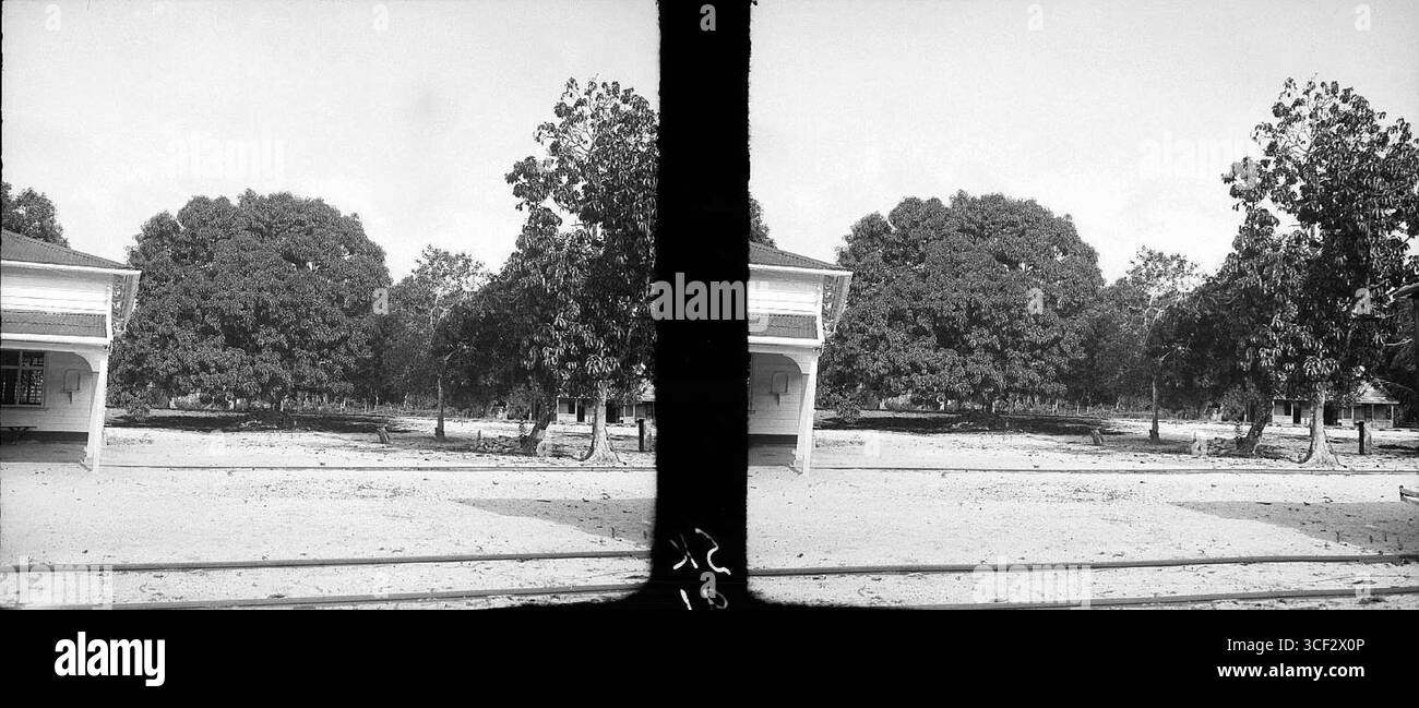 Tree measuring Black and White Stock Photos & Images - Alamy