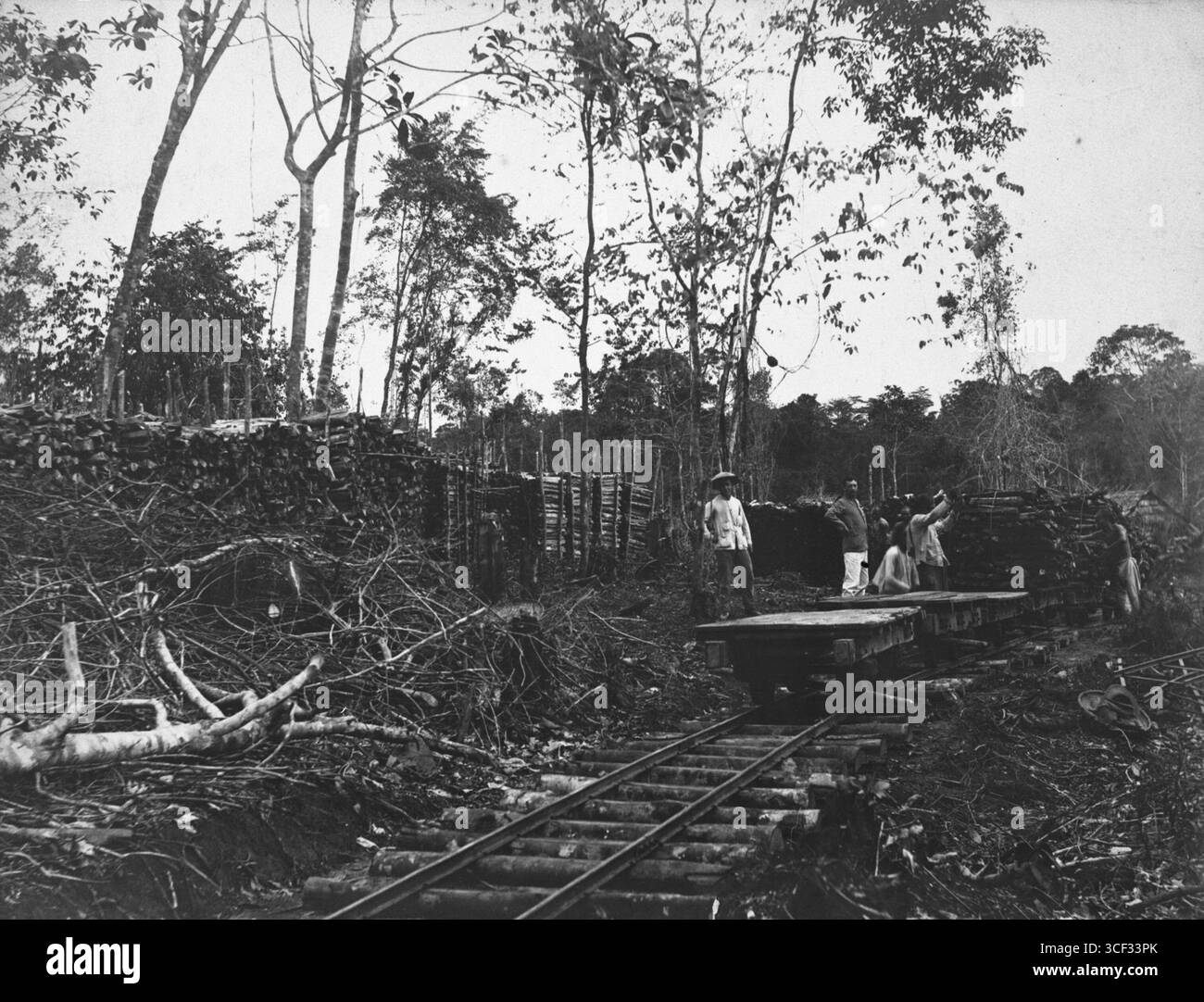 This photograph depicts the transport of chopped firewood by lorry at ...