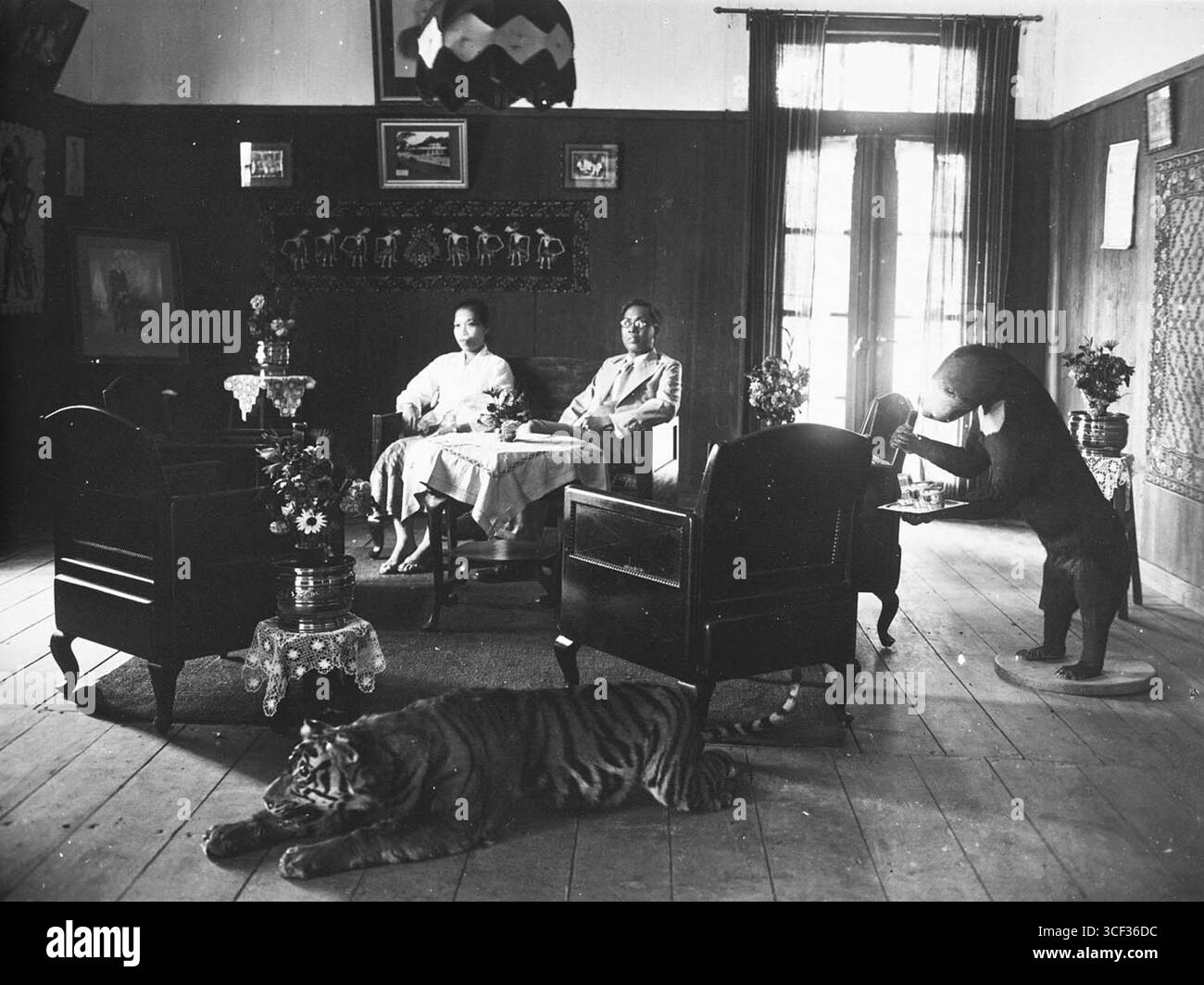 Asian black bear tiger Black and White Stock Photos & Images - Alamy