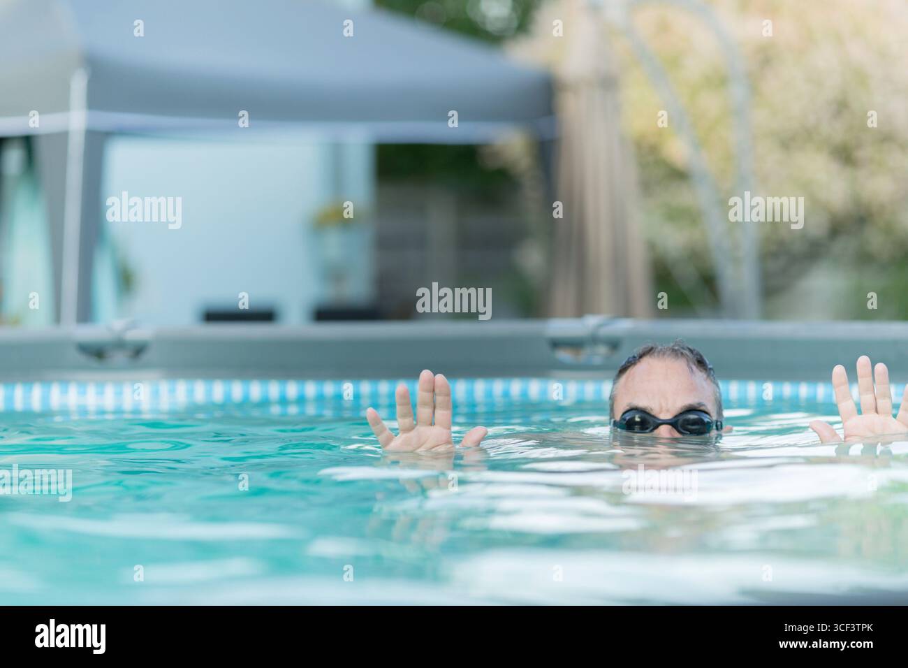 Diving in the garden pool Stock Photo - Alamy