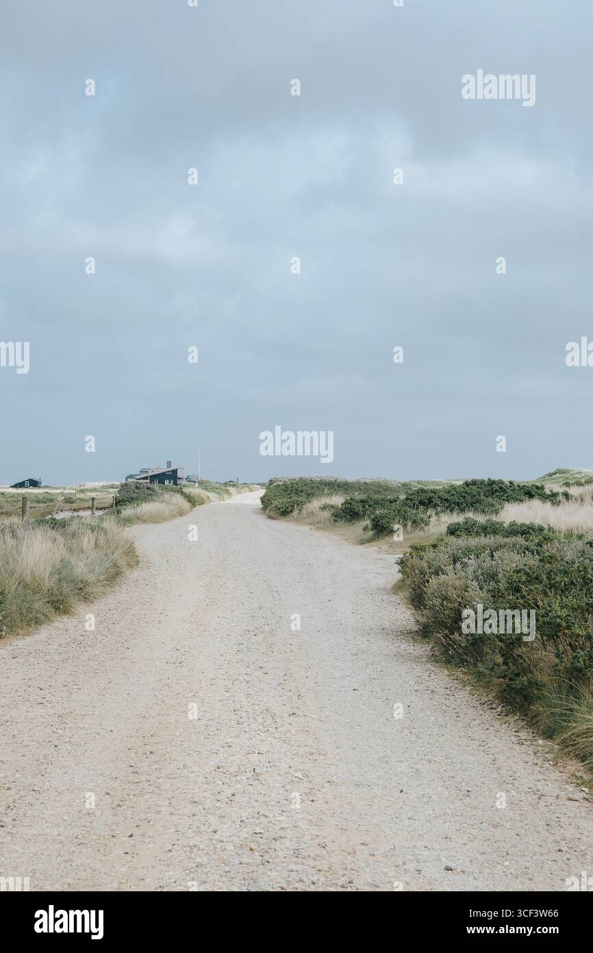 Sandy soil vegetation scene hi-res stock photography and images - Alamy