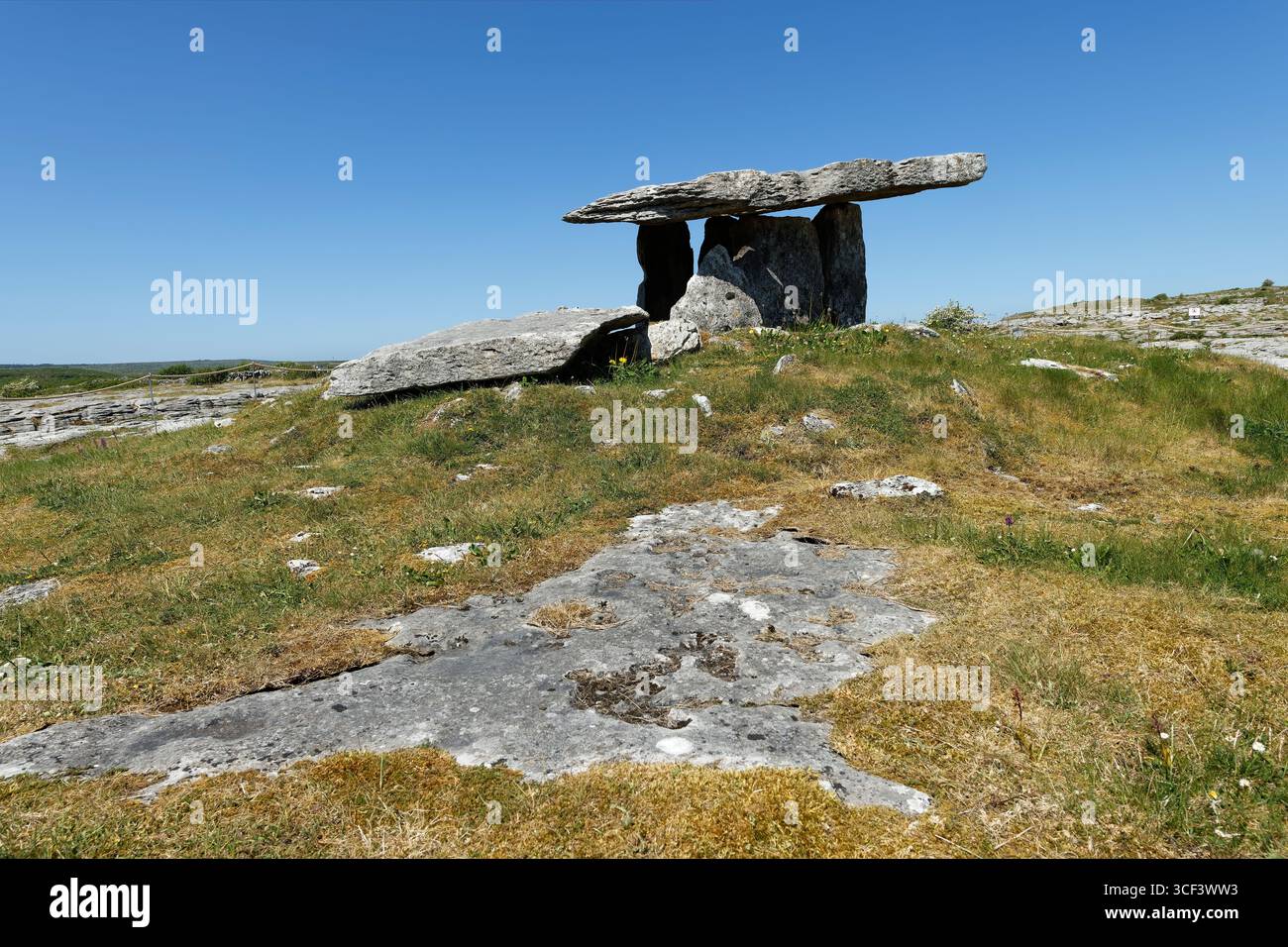 View of Poulnabrone Dolmen in the Burren National Park, Burren, Munster ...