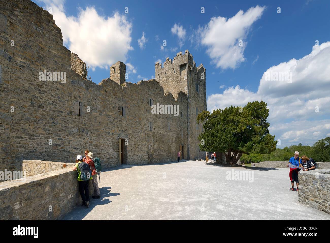View of Ross Castle in Killarney National Park, Ring of Kerry, Munster ...