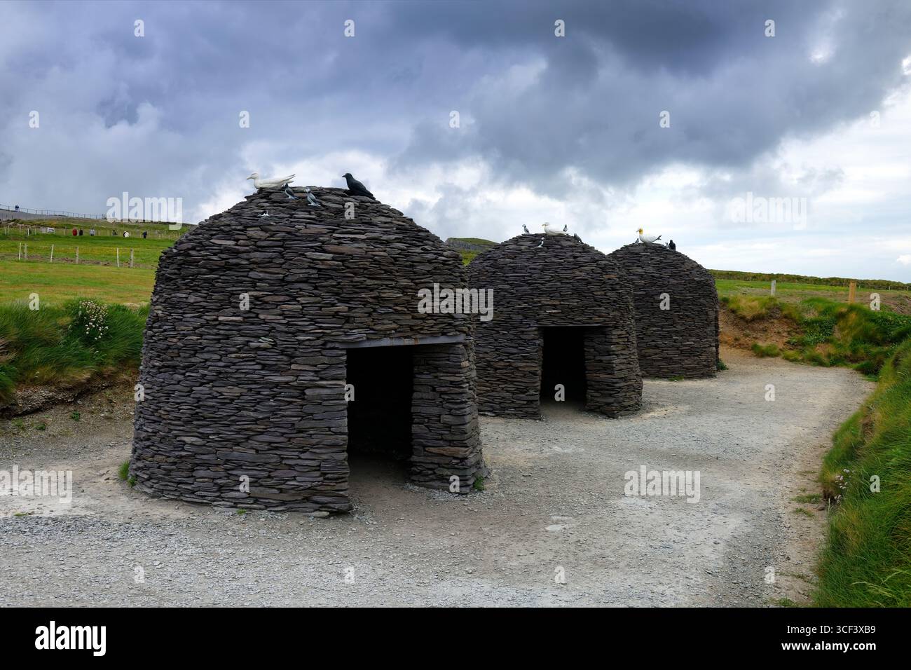 View of beehives at the viewpoint 'Kerry's most spectacular Cliffs ...
