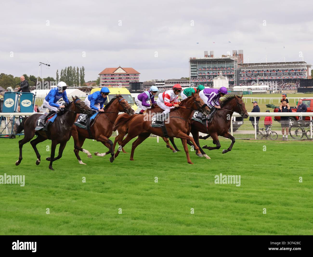 Daryz horse hi-res stock photography and images - Alamy