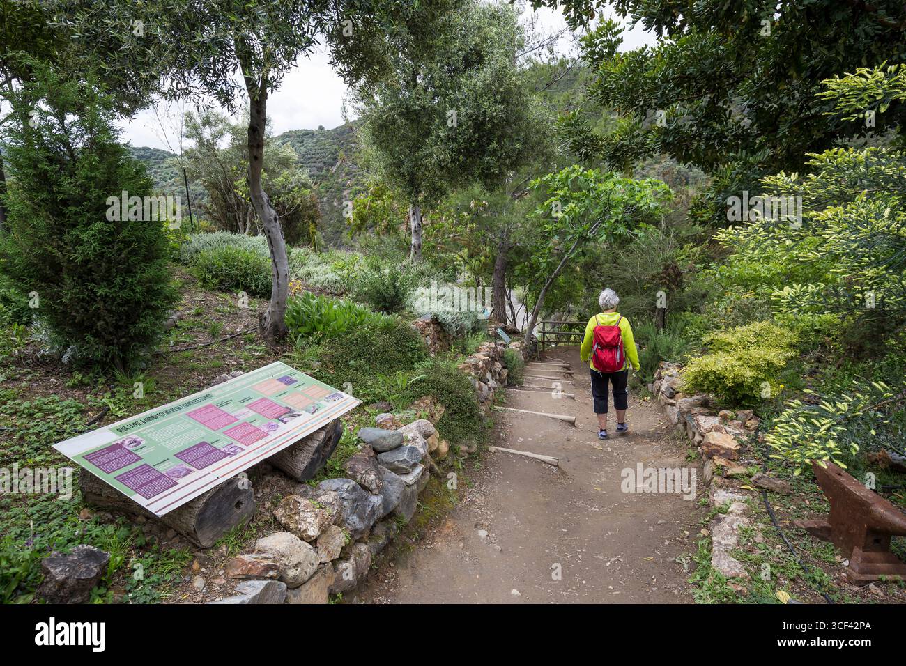 A woman walks along the circular path in the botanical garden, nature ...