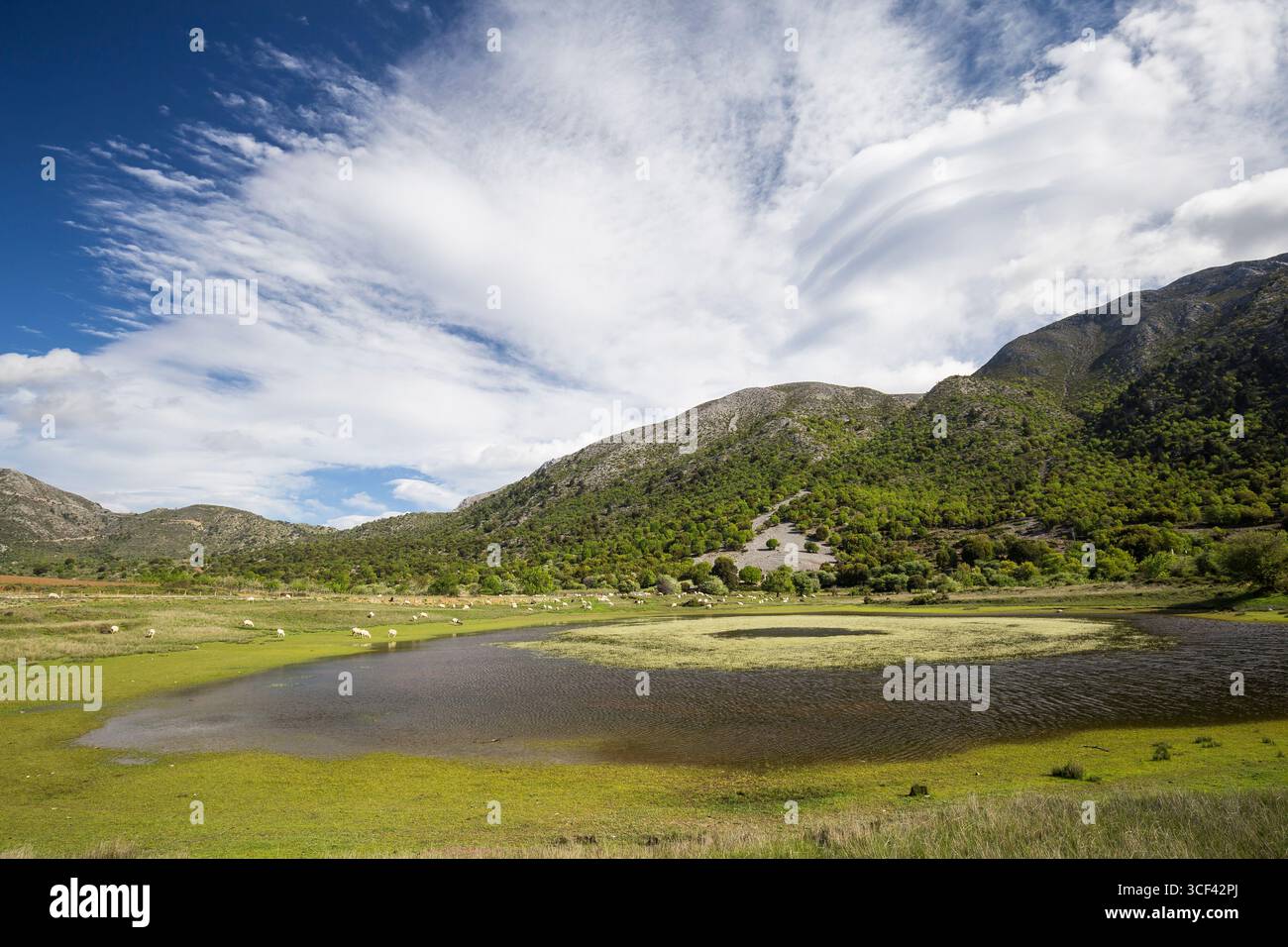 Lake omalos in front of the white mountains lefka ori hi-res stock ...