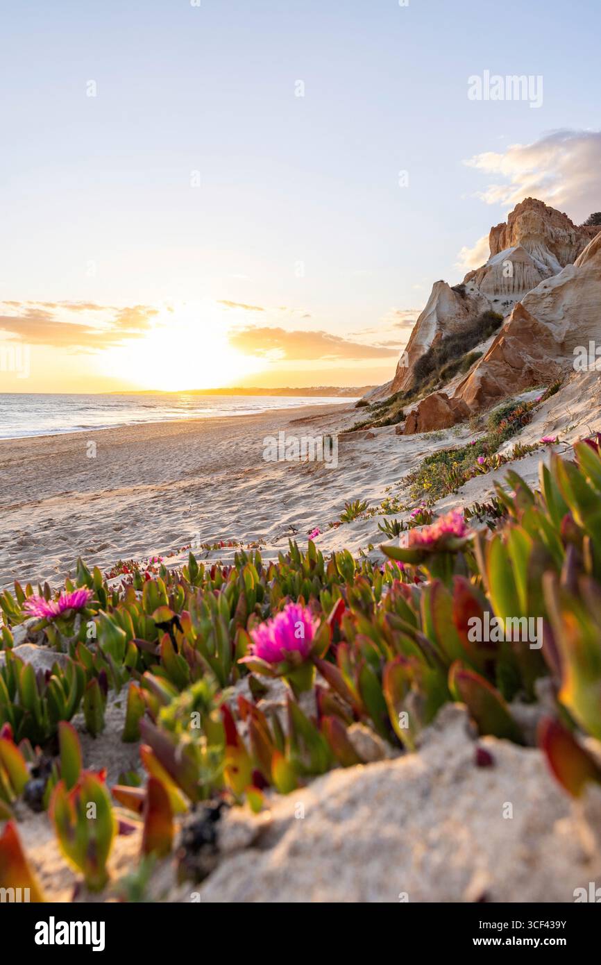 Red cliffs with breathtaking formations on praia da falesia beach hi ...