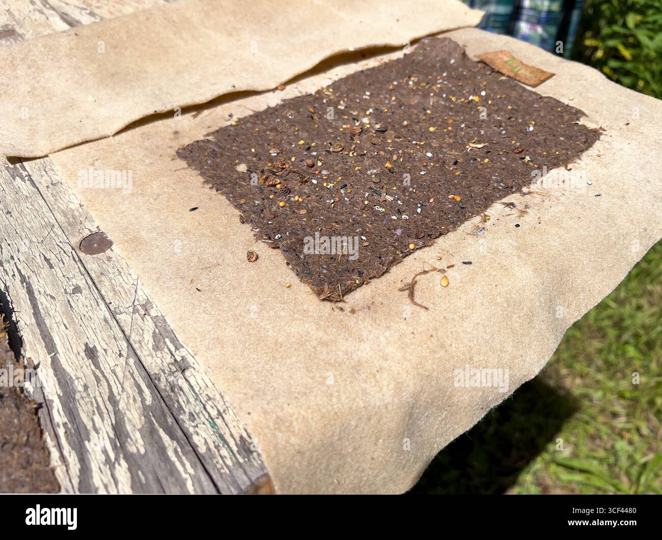 Organic papermaking hi-res stock photography and images - Alamy