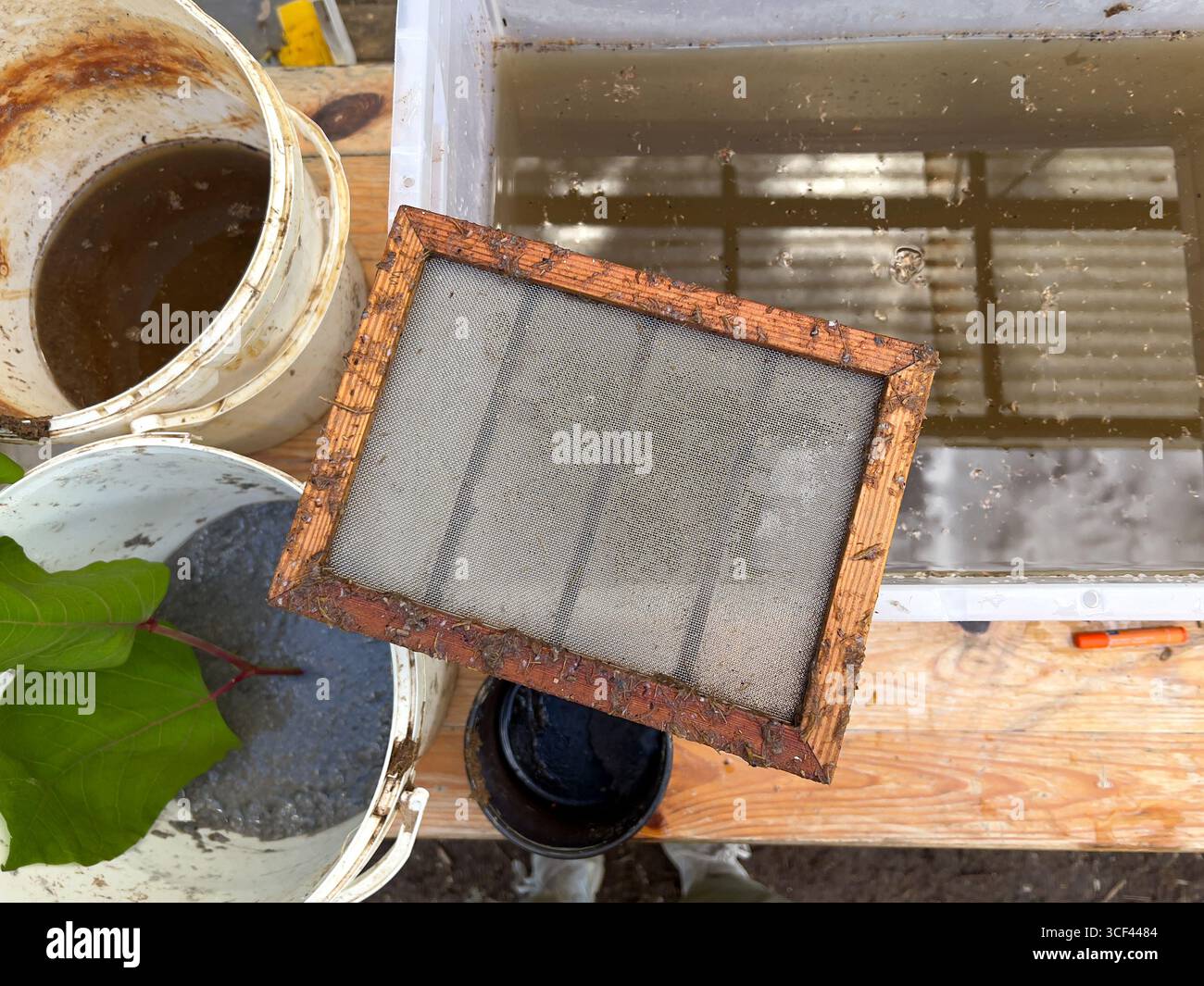 Handmade paper making process with recycled fibers and invasive plants ...