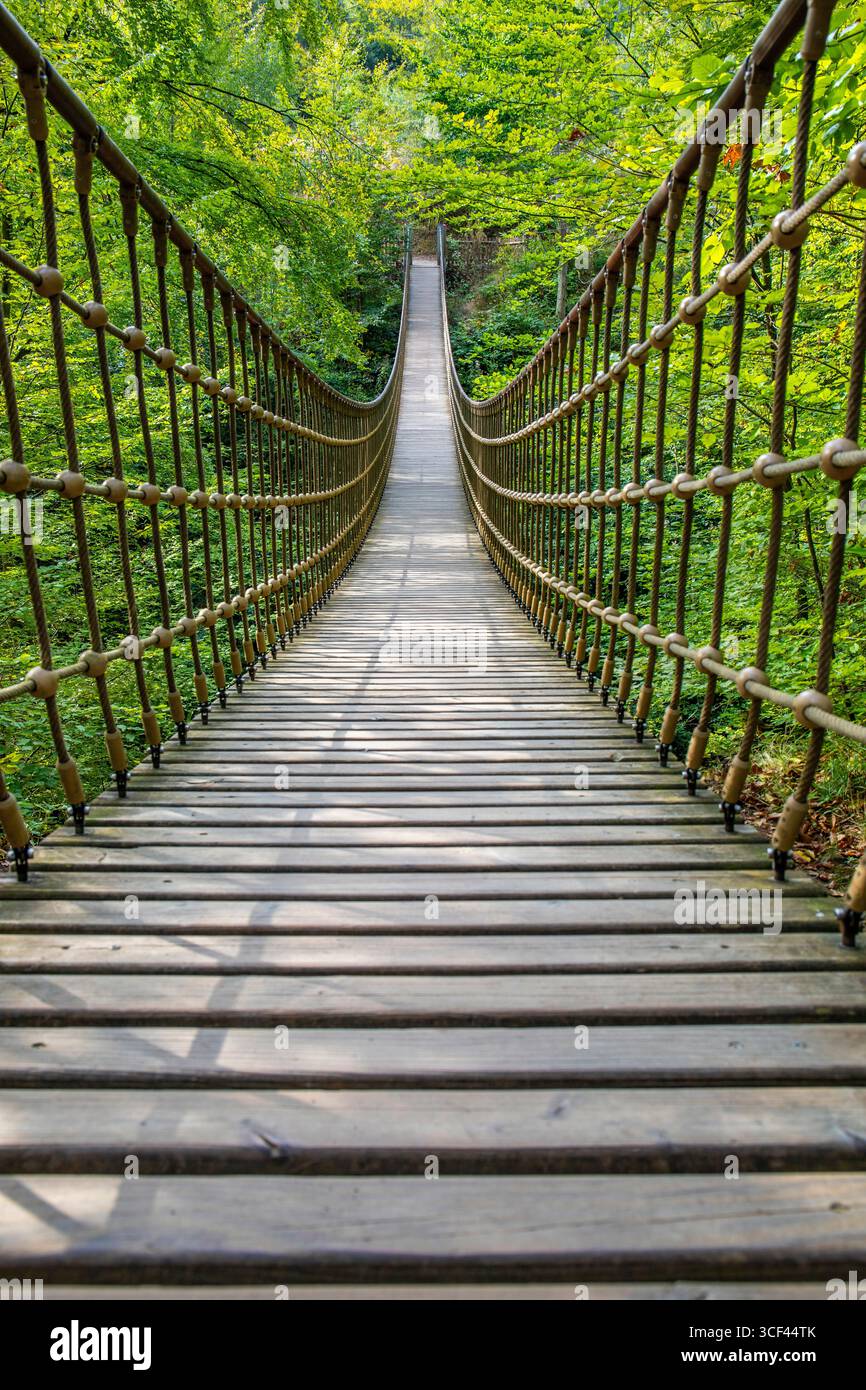 Wooden suspension bridge over a gorge, beautiful nature and trees in ...