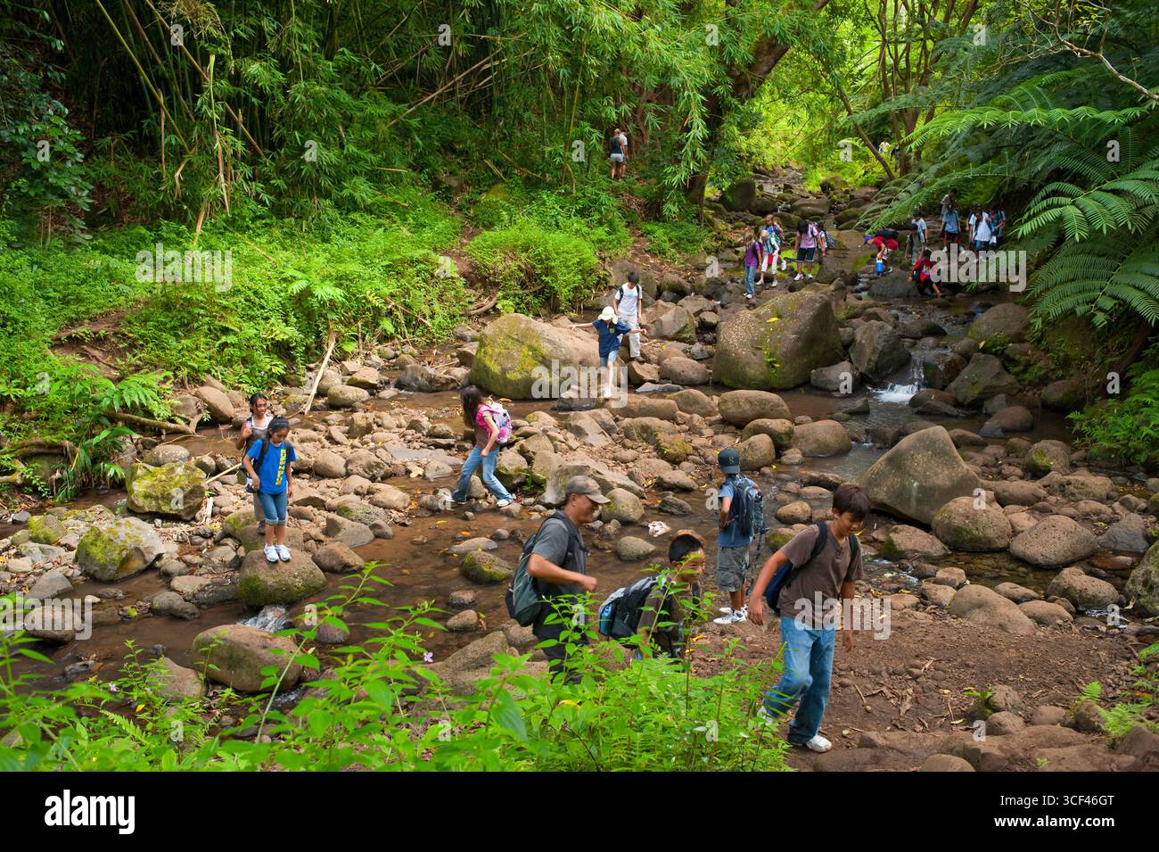 Group of 6th grade students hiking in the Maunawili stream, Maunawili ...
