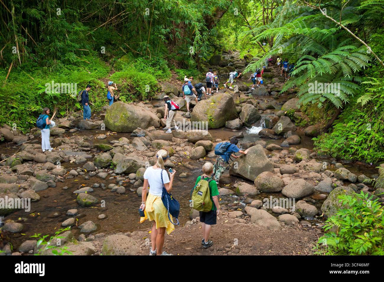 Group of 6th grade students hiking in the Maunawili stream, Maunawili ...