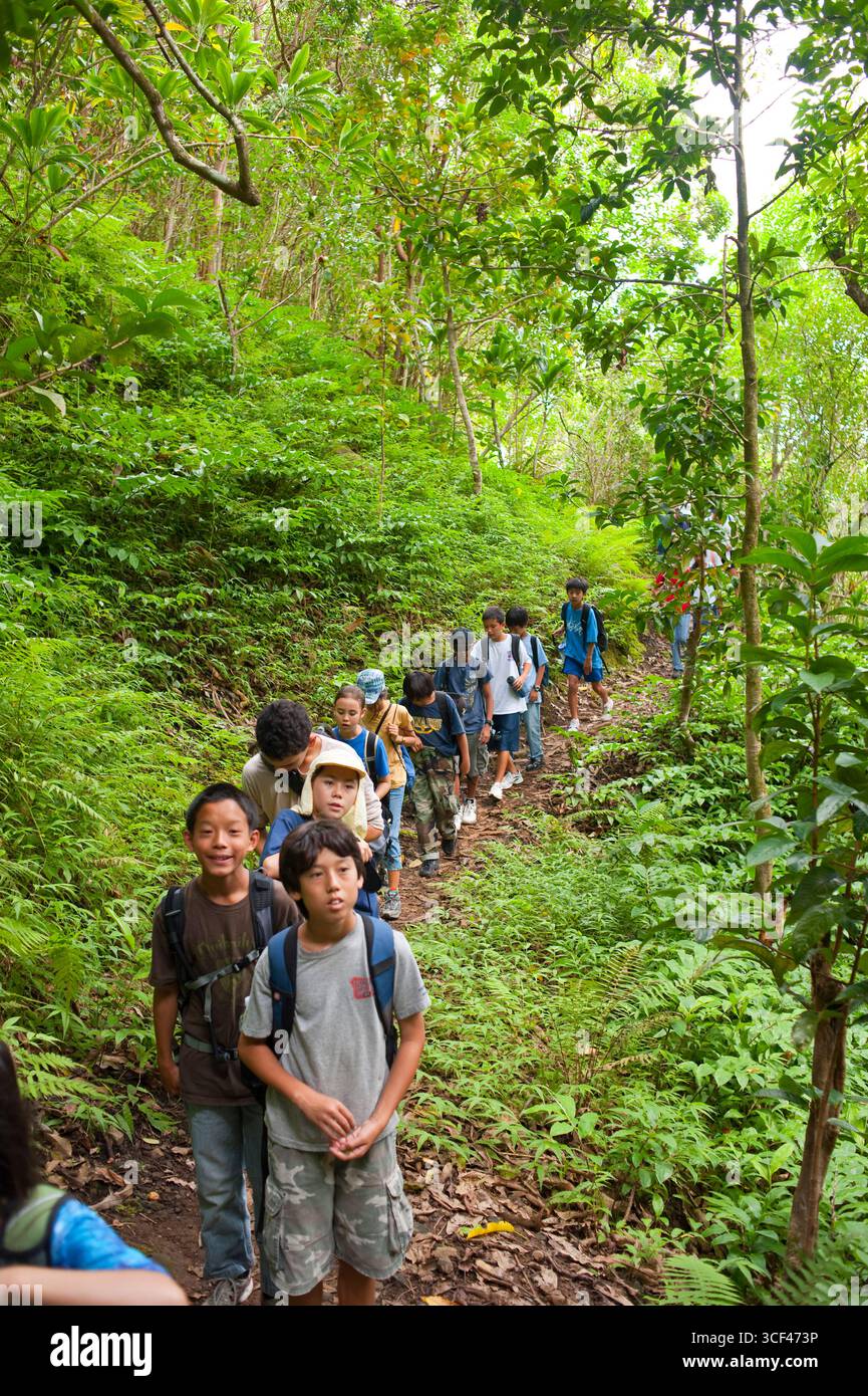 Group of 6th grade students hiking on the Maunawili trail, Maunawili ...