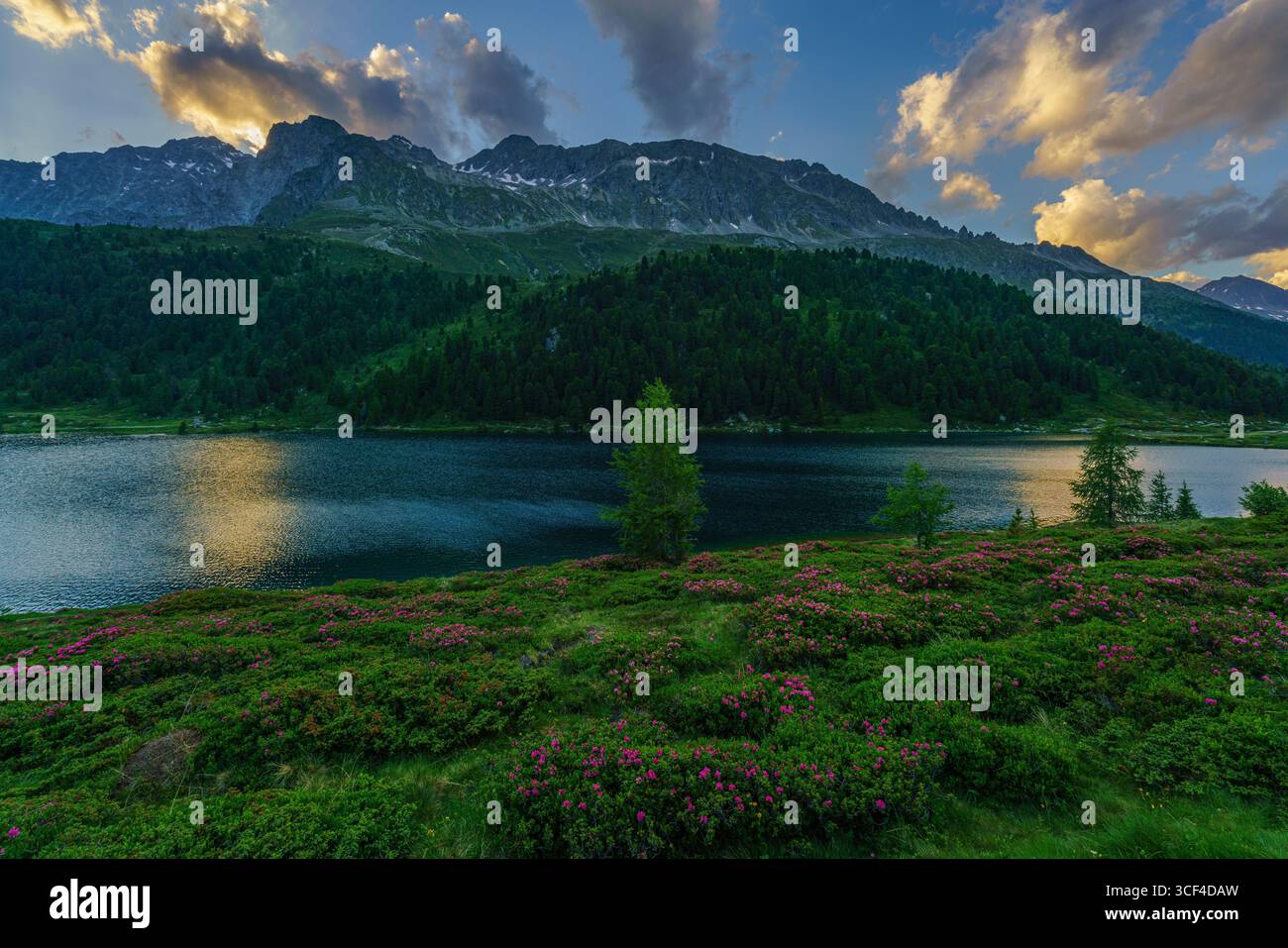 The obersee lake on the staller sattel in defereggen valley hi-res ...