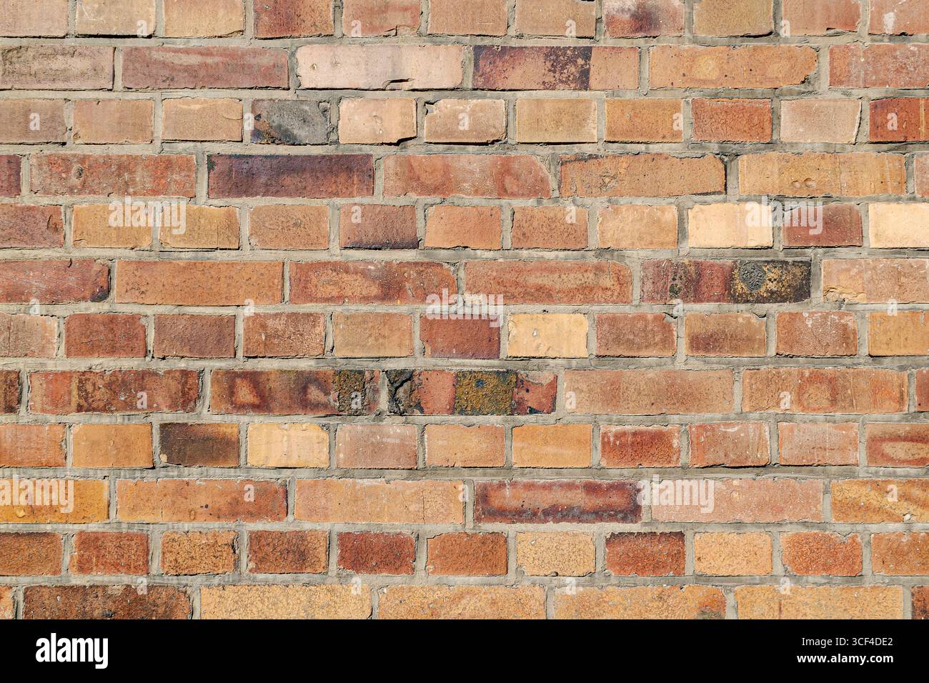 Emphasizing variations in texture hi-res stock photography and images ...