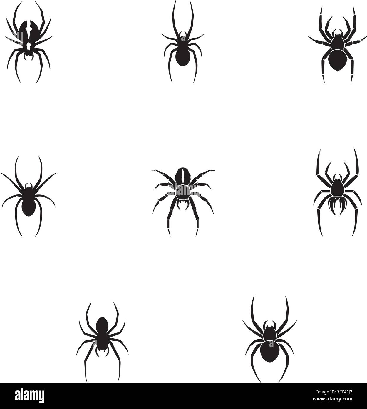 Details insects Stock Vector Images - Alamy