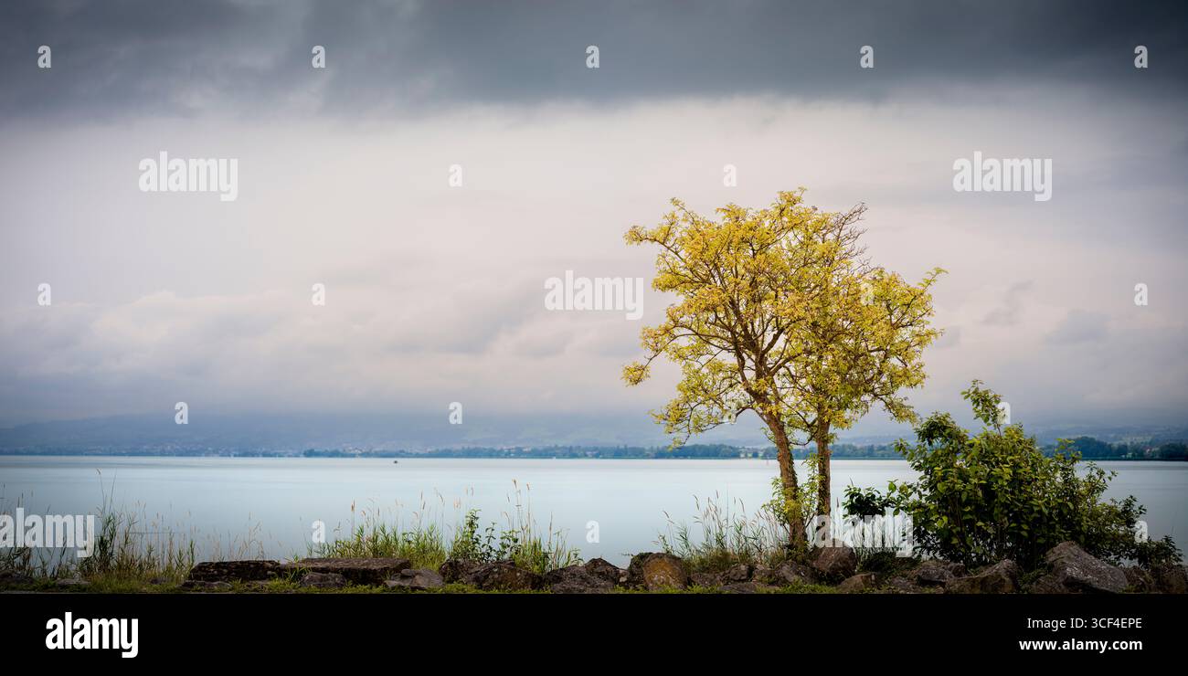 Waterfront promenade in Romanshorn on Lake Constance, Switzerland Stock ...