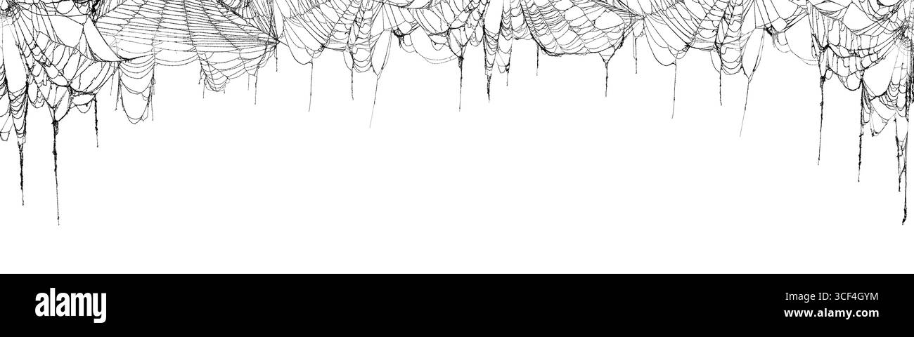 Spider cobweb border on Black and White Stock Photos & Images - Alamy