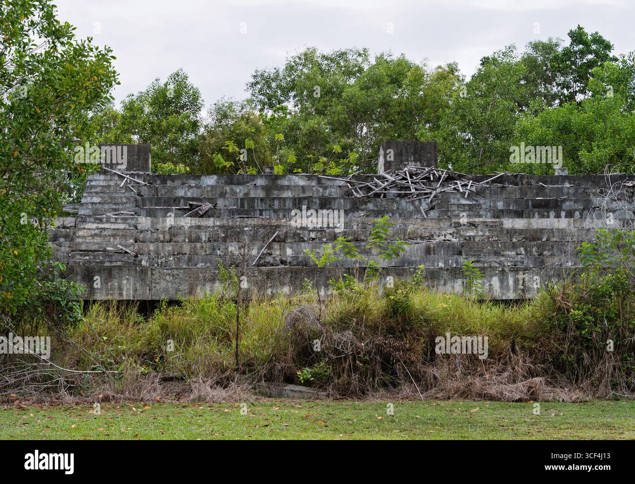 A crumbling concrete stadium stand with overgrown bushes Stock Photo ...