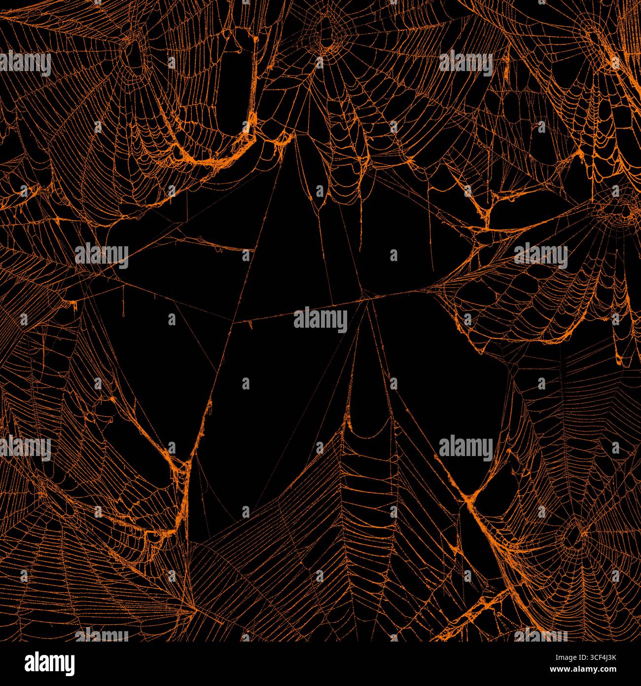 Real spooky spider webs hanging together to make a frame. Halloween ...