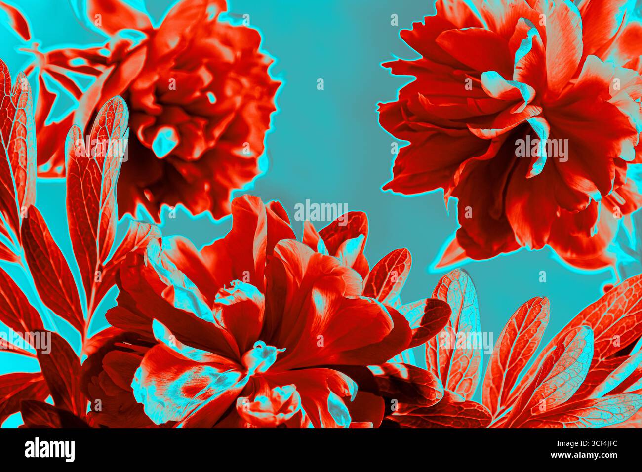 Vivid arrangement of stylized leaves hi-res stock photography and ...