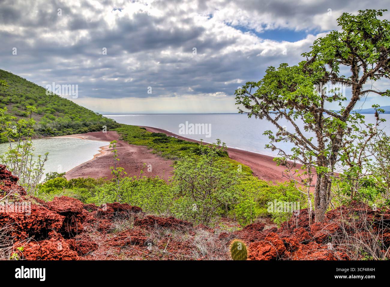 View of the red volcanic cliffs and shoreline of Rábida Island ...