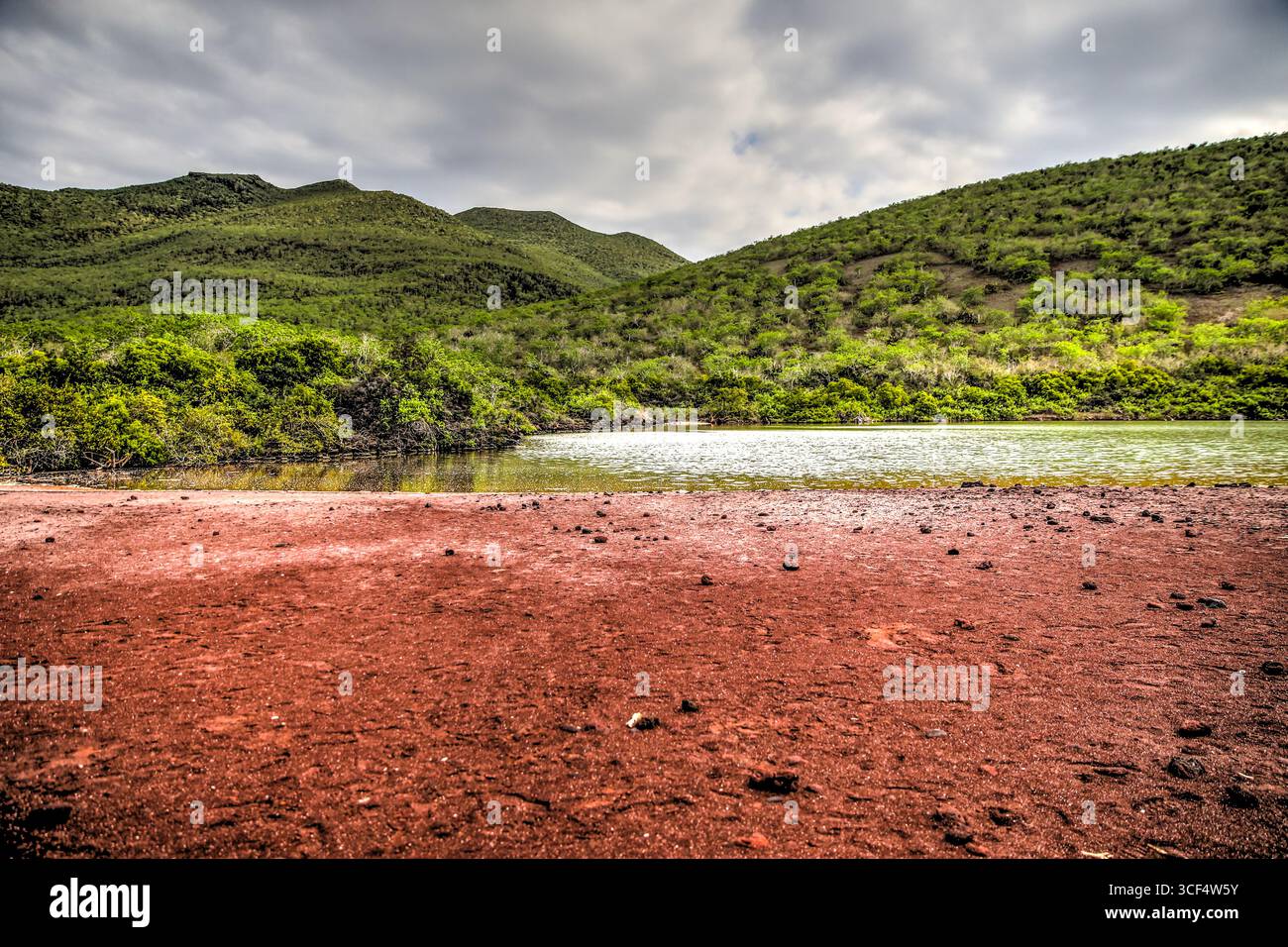 View of the red volcanic cliffs and shoreline of Rábida Island ...