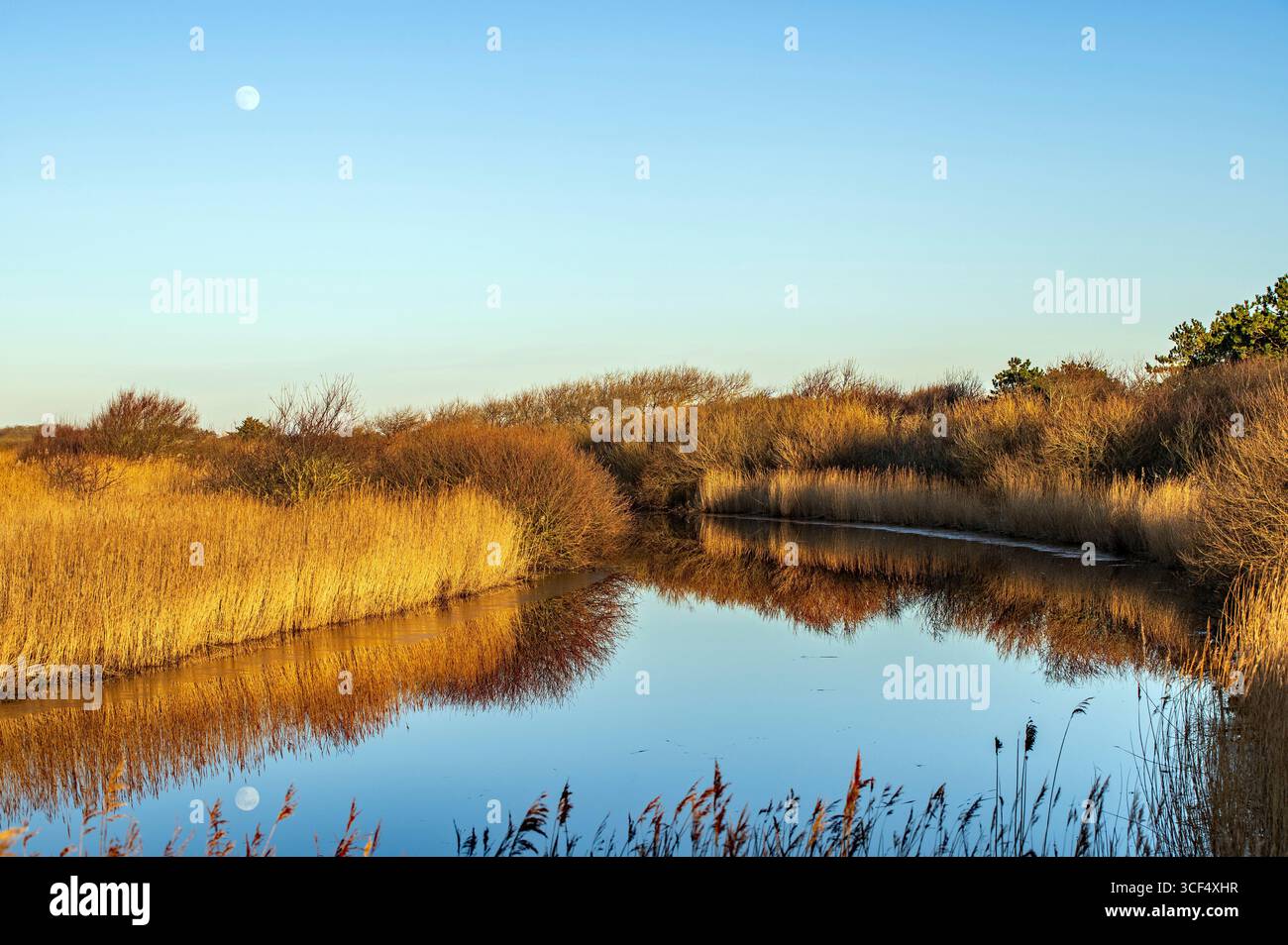 Rohrig zone at the tributary of the rantum basin hi-res stock ...