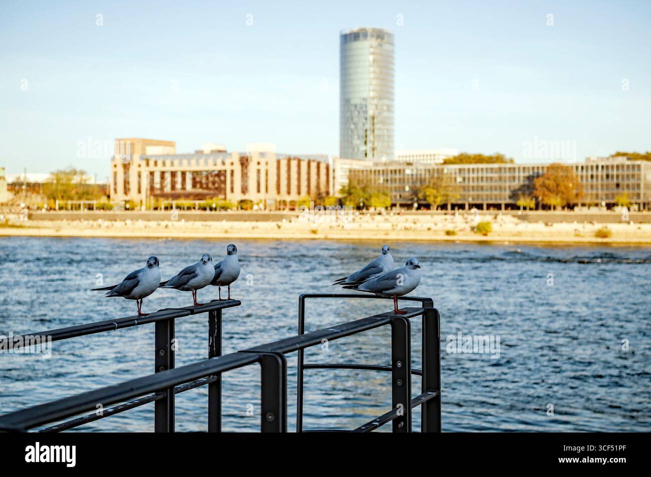 Cologne Deutz Rhine embankment Stock Photo - Alamy