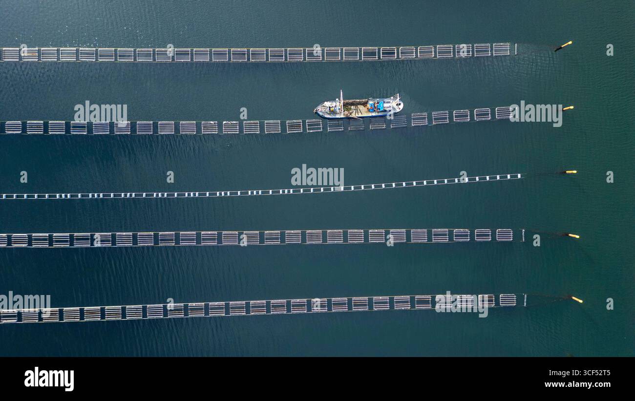 Shellfish farms in the grevelingermeer from the air hi-res stock ...