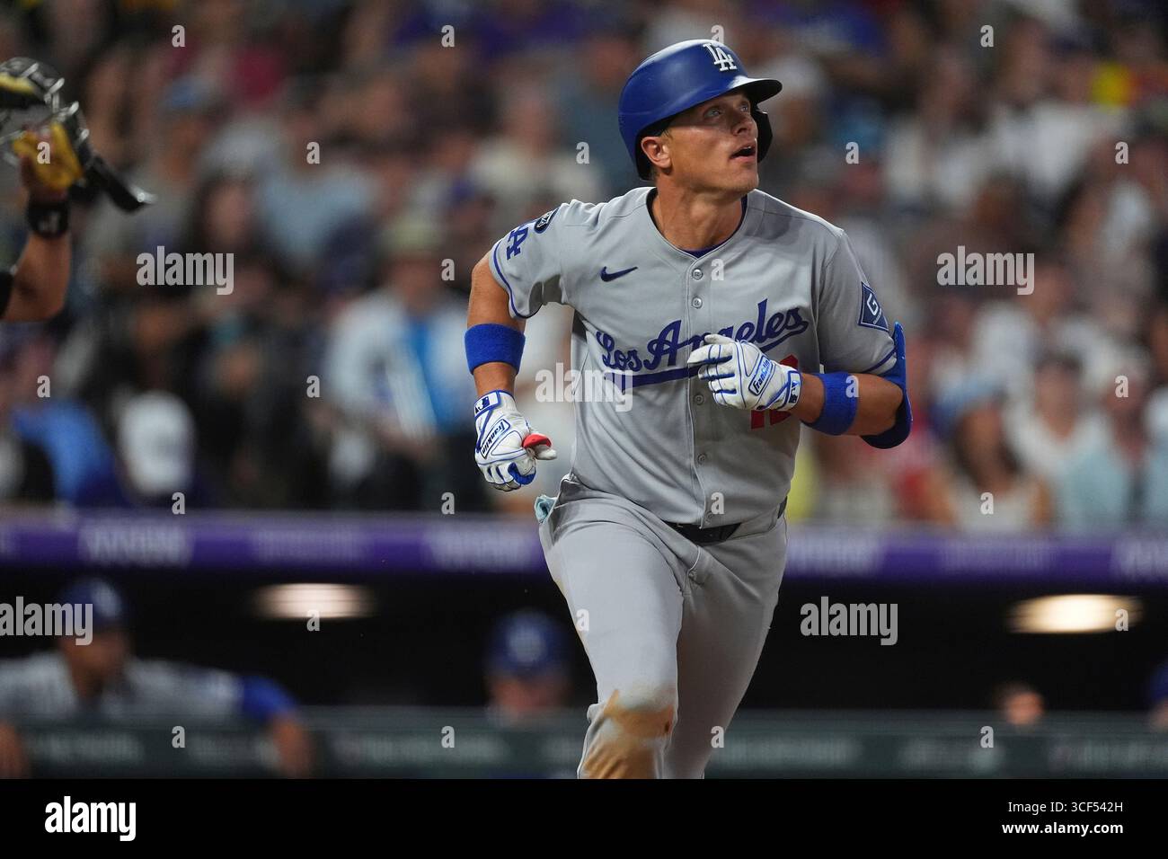 Los Angeles Dodgers left fielder Alex Call (12) in the fifth inning of a baseball game Tuesday ...