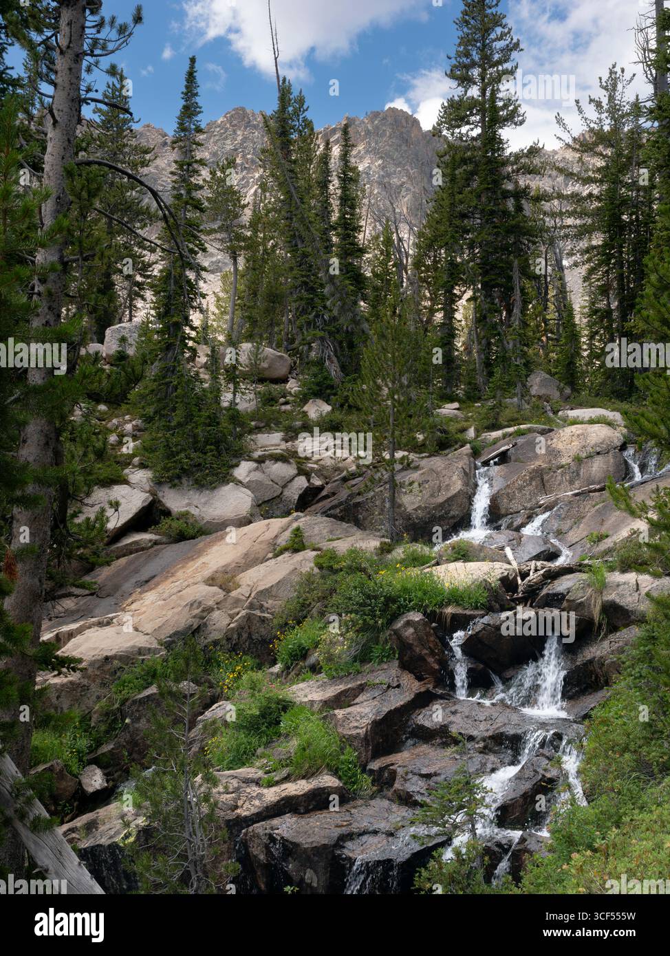 Imogene hi-res stock photography and images - Alamy