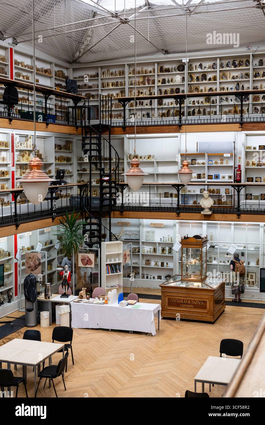Pathology museums st barts hospital hi-res stock photography and images ...