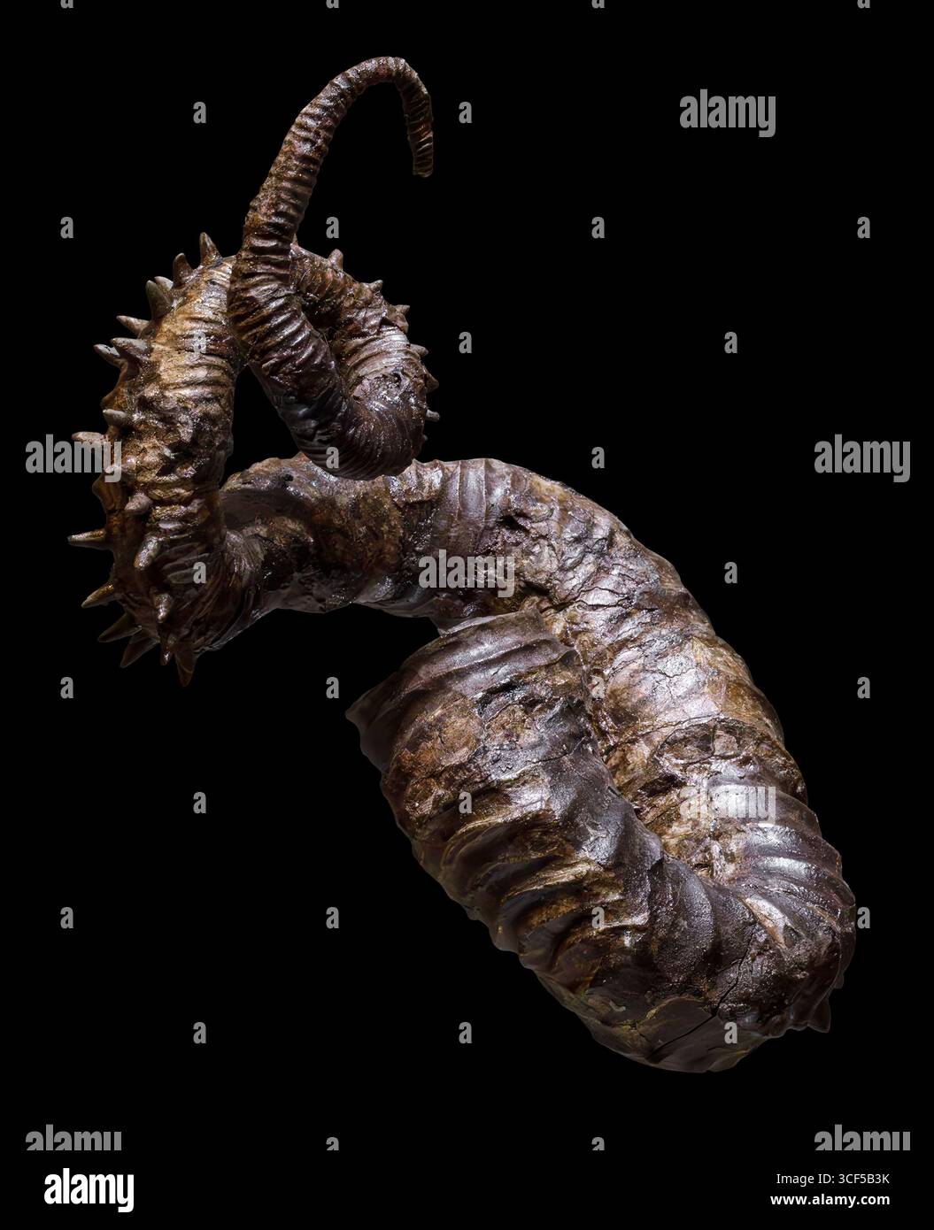 Aberrant lines hi-res stock photography and images - Alamy