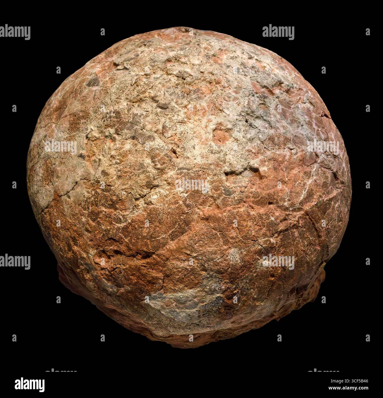China fossil hi-res stock photography and images - Alamy