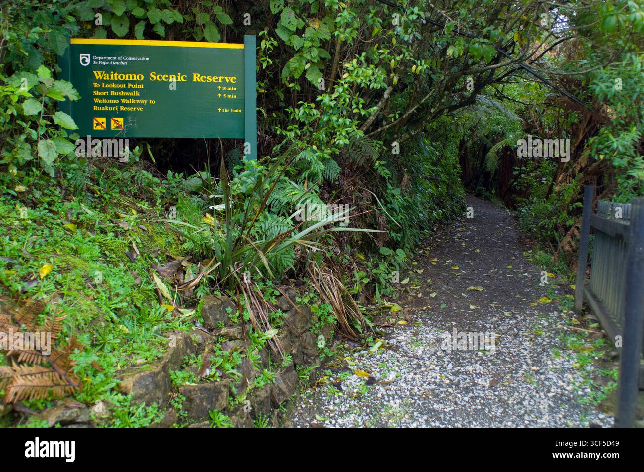Waitomo caves road hi-res stock photography and images - Alamy