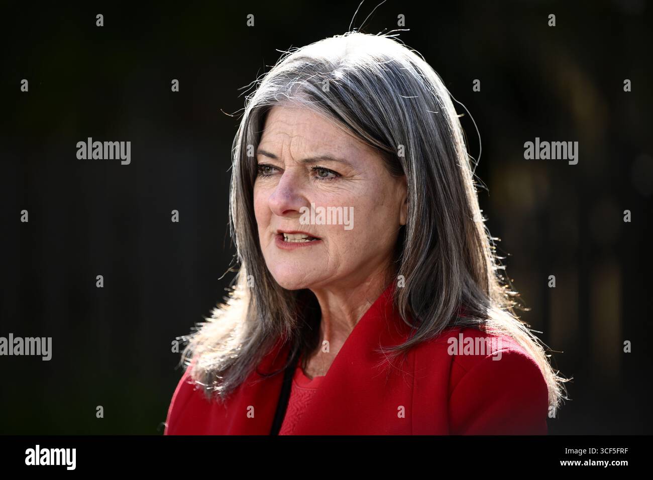 Victorian Attorney General Sonya Kilkenn speaks to media during a visit ...
