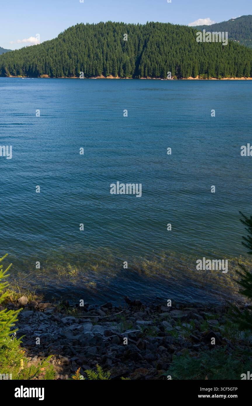 Detroit Lake, Willamette National Forest, Marion County, Oregon, USA ...
