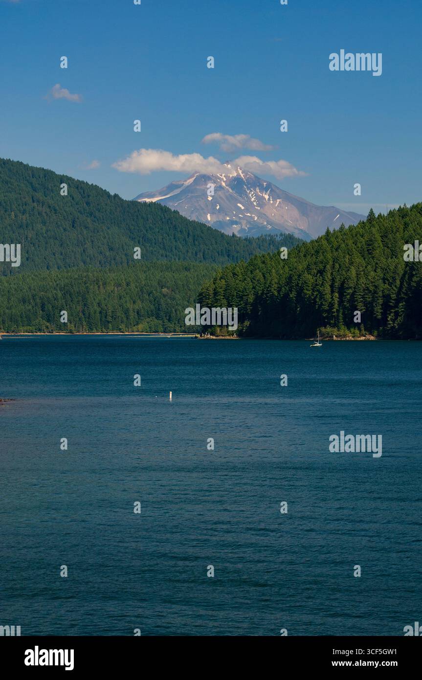 Mt. Jefferson rising above Detroit Lake, Willamette National Forest ...