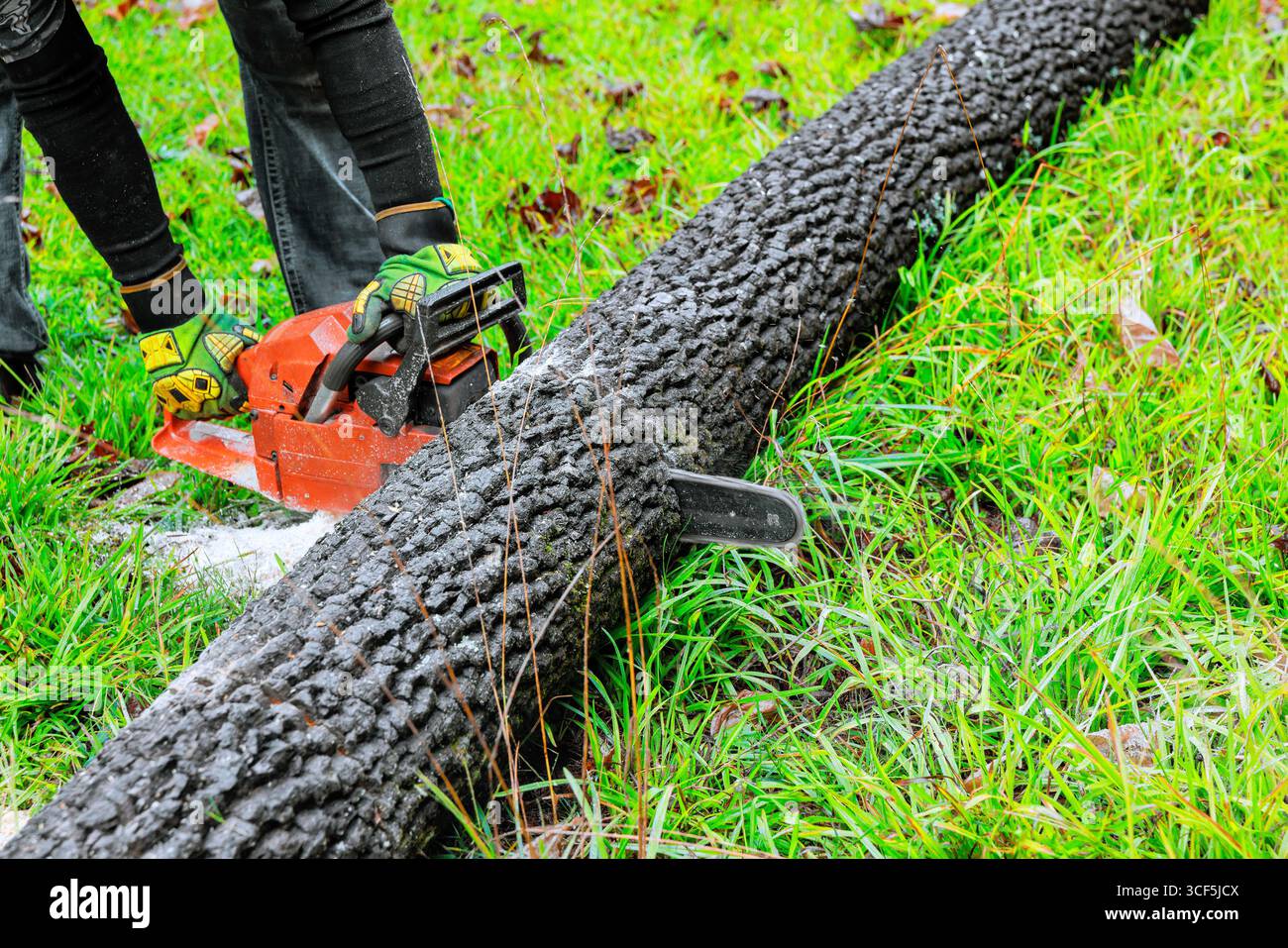 Rehabilitation through labor hi-res stock photography and images - Alamy