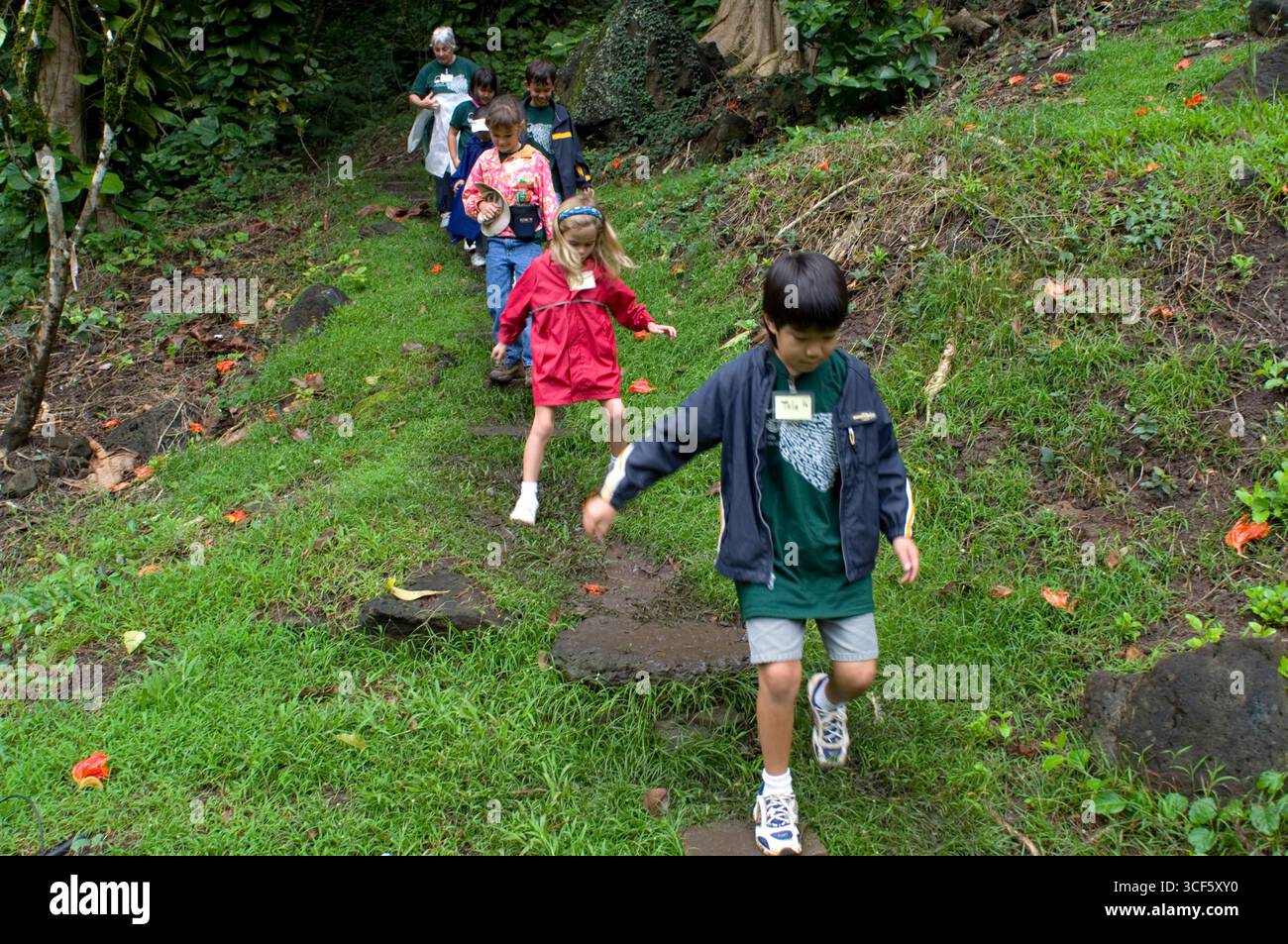 Second grade school children on a muddy hike in the lush tropical ...