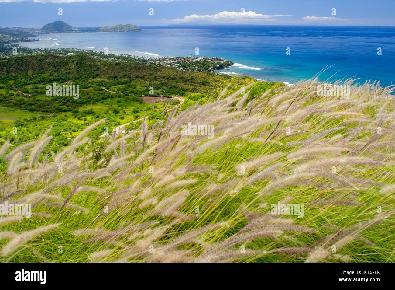 Diamond Head crater seen from the Diamond Head summit trial, Diamond ...
